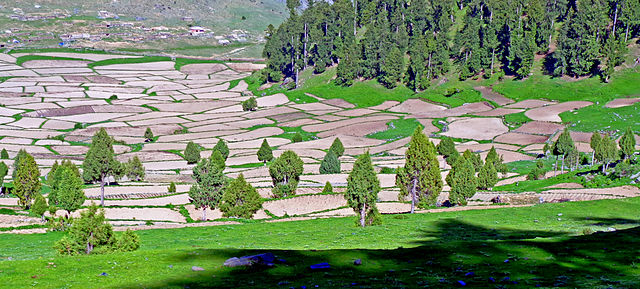 Gilgit Valley: The Capital Of Gilgit Baltistan - Northern Discover